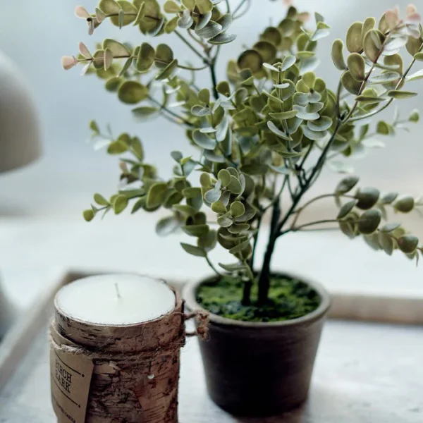 Artificial Potted Eucalyptus Bush - Alisarch
