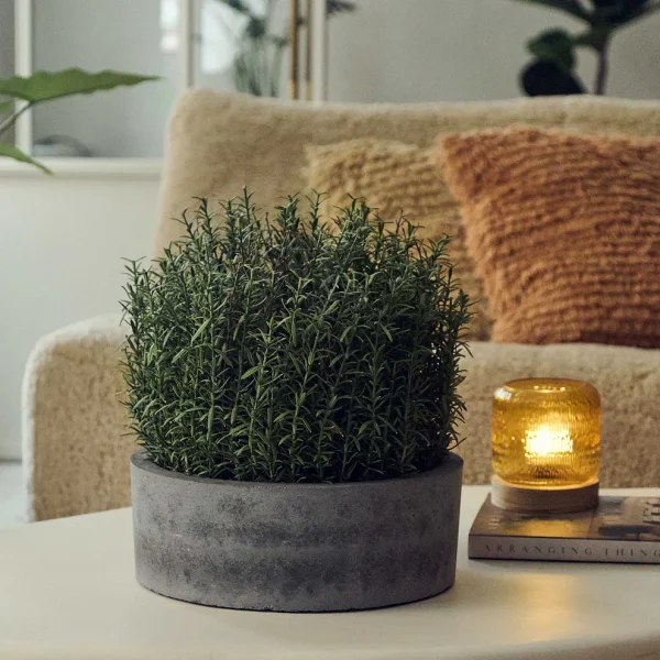Artificial Rosemary Plant - Alisarch